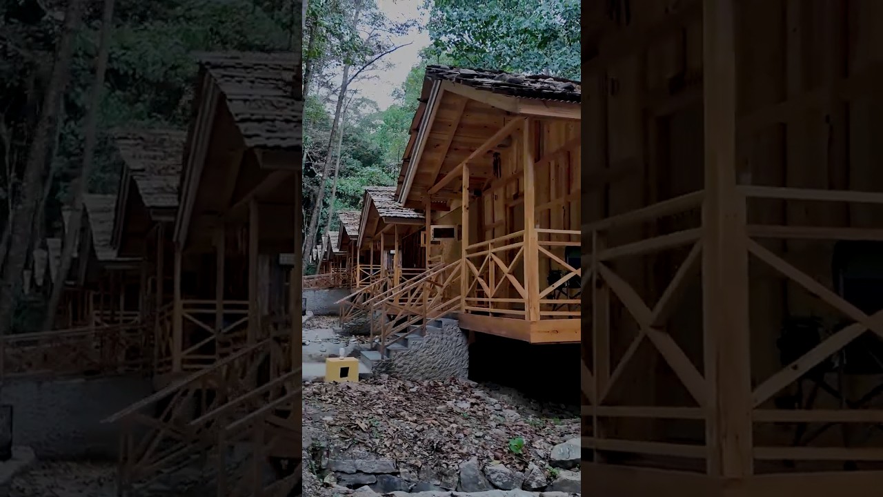 Punakha Jungle Lodge: A #peaceful and #beautiful #lodge #4k