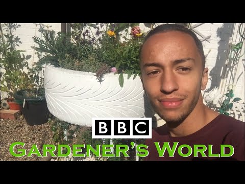 BBC Gardener’s World TV Feature - Raised Tire Planters