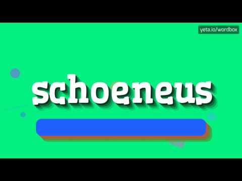SCHOENEUS - HOW TO PRONOUNCE IT!?