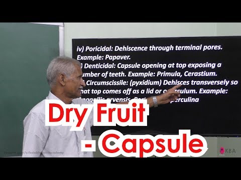 48.Physics | Reproductive Morphology | Dry fruit capsule