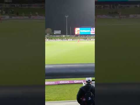 Ryan Burl Scores A Boundary 2022 ICC World Cup West Indies V Zimbabwe At Blundstone Arena #shorts