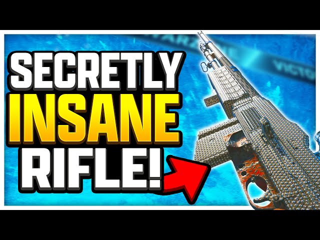 New BAR assault rifle loadout has high damage and "zero recoils" in ...
