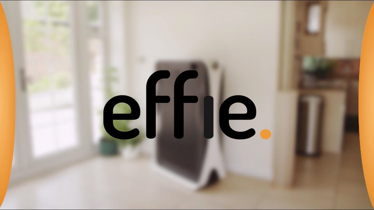Never Iron Again - effie