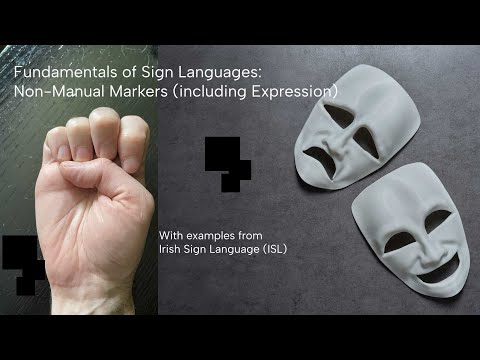 Fundamentals of sign languages, part 3 – Partner and Ally