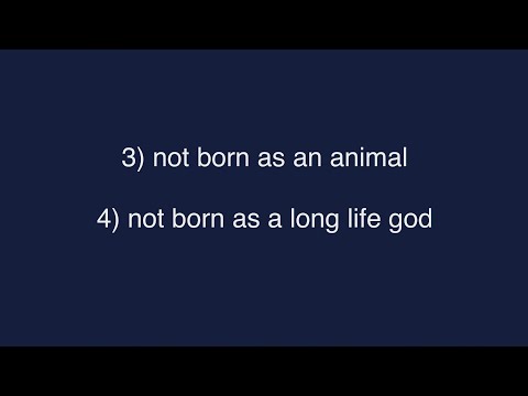 Eight freedoms: in born in the animal realm or the realm of the long life gods