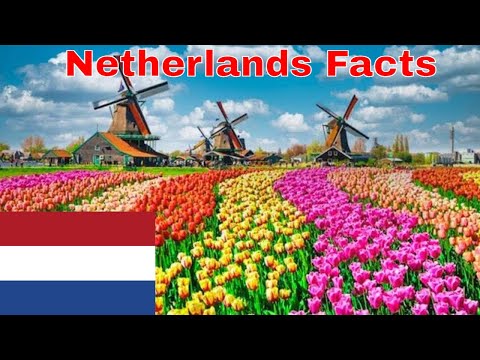 Awesome Netherlands Facts you didn't know