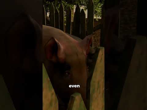 "If a Pig Stares at You... RUN!".. #animation#trending #popular