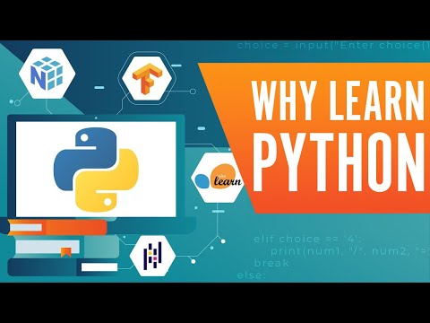 Why Learn Python in 2022?