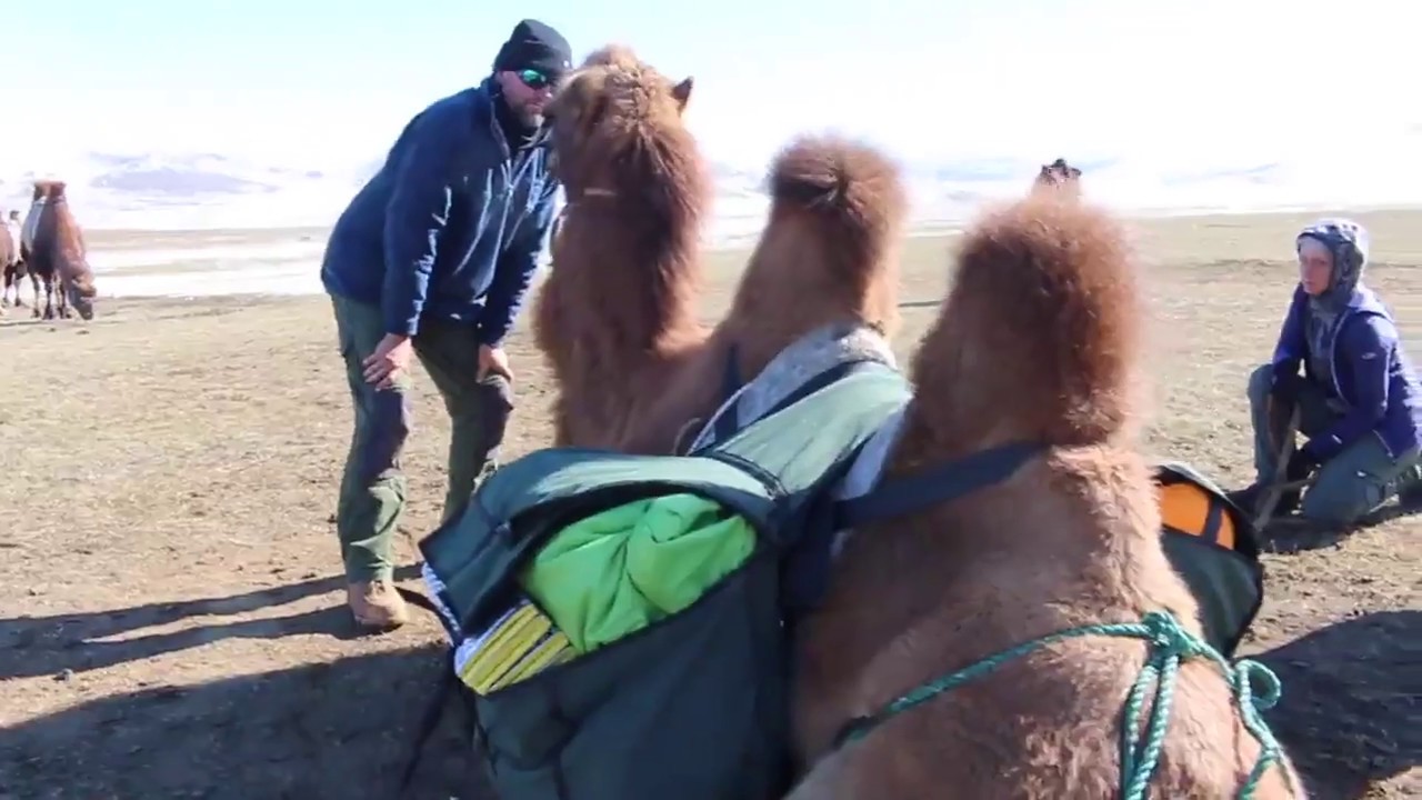 Camel Expedition Training Mongolia