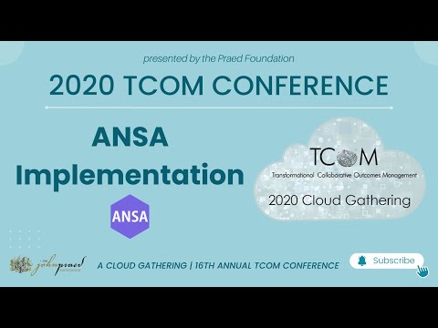 ANSA Implementation