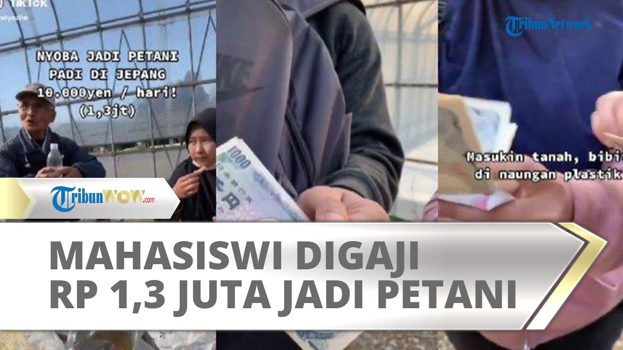 Kisah Mahasiswi Indonesia Digaji Rp 1,3 Juta dalam Sehari, Kerja Paruh Waktu Jadi Petani di Jepang