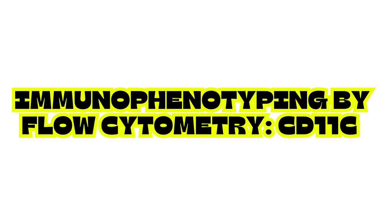 IMMUNOPHENOTYPING BY FLOW CYTOMETRY CD11c