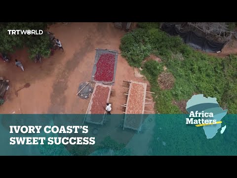 Africa Matters: Ivory Coast's sweet success