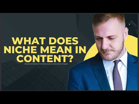 WHAT DOES NICHE MEAN IN CONTENT
