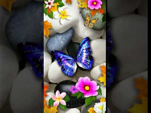 Autumn butterfly raindrop animated Animated