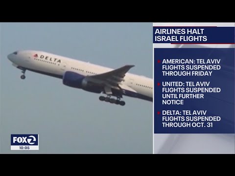 Airlines halt Israel flights in wake of attack