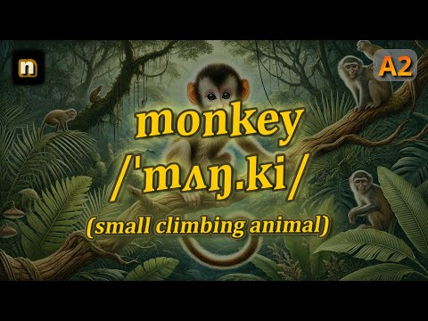 [n] Monkey meaning (small climbing animal) with 5 examples