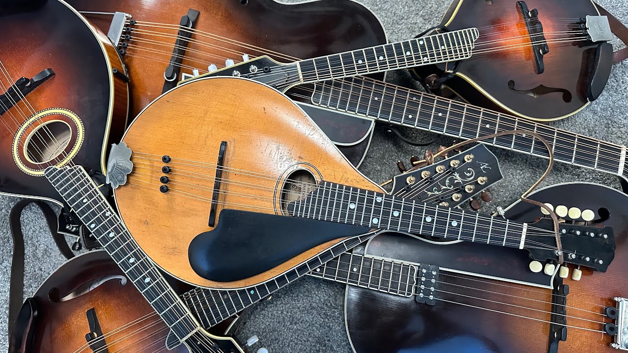 Explore the Mandolin Family! Mandola, Octave Mandolin, Mandocello, Tenor Guitar, Bouzouki, Etc!