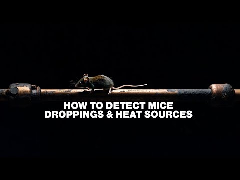 Evans Pest Control | Philadelphia Expert Pest Management ...