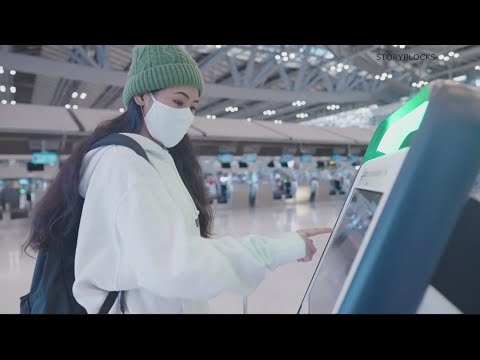 What rights does an airline passenger in the US have if an airline delays or cancels their flight? |