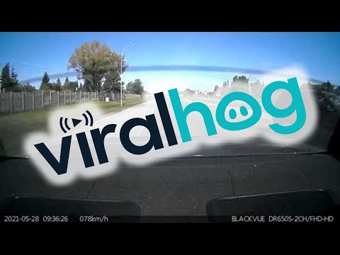 Distracted Driver Almost Accidentally Performs Pit Maneuver || ViralHog