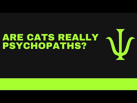 Are cats psychopaths? Early thoughts on "a triarchic model of psychopathy in cats".