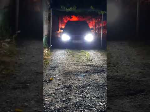 S203