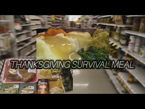 MAKE A THANKSGIVING SURVIVAL MEAL FOR 3-4 PEOPLE UNDER $20