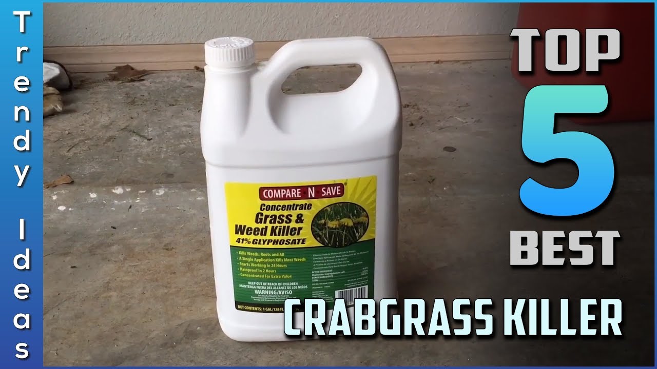 Top 5 Best Crabgrass Killers Review in 2023