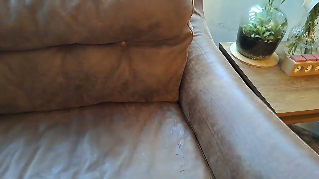 sofology disgrace sofa's