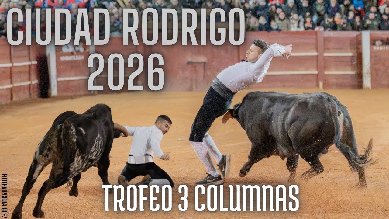 4K// XII Bull-Leaping Competition Ciudad Rodrigo (Salamanca) 2026
