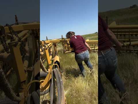 Farming Never Goes to Plan