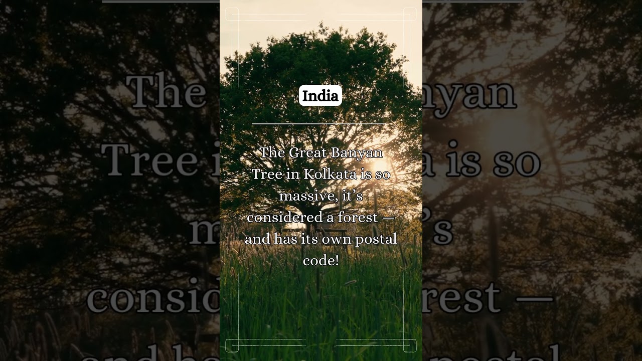 This Tree Has Its Own PIN Code?! 🌳📮 #didyouknow #indiaexploration #incredibleindia #indiafacts