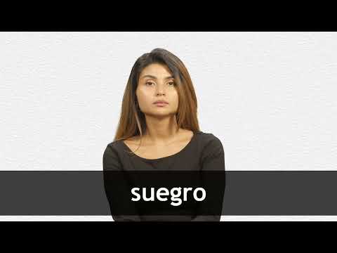Traducción en inglés de “SUEGRO” | Collins Diccionario español-inglés