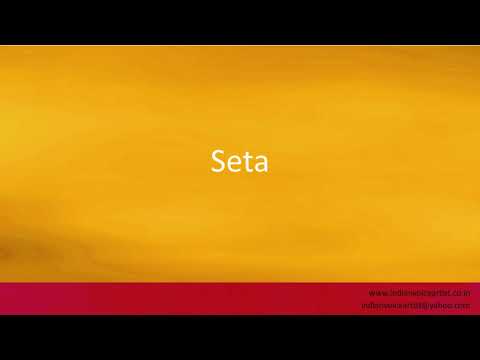 Pronunciation of the word(s) "Seta".
