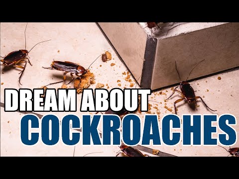 What Does It Mean When You Dream About Cockroaches?