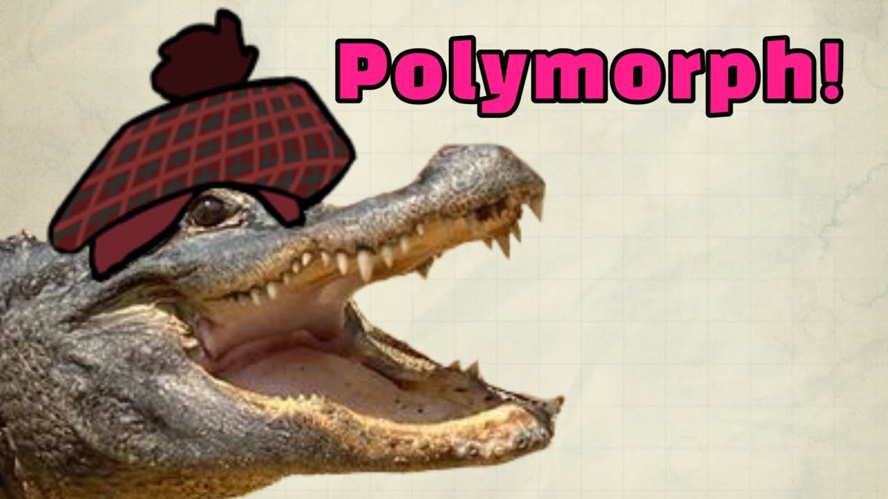 D&D 5E Advanced guide to Polymorph