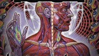 Tool Album Watch HD Mp4 Video Download Free