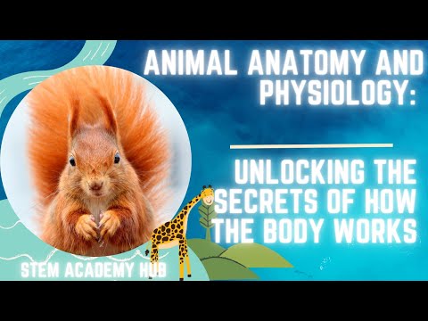 Animal Anatomy and Physiology: Unlocking the Secrets of How the Body Works