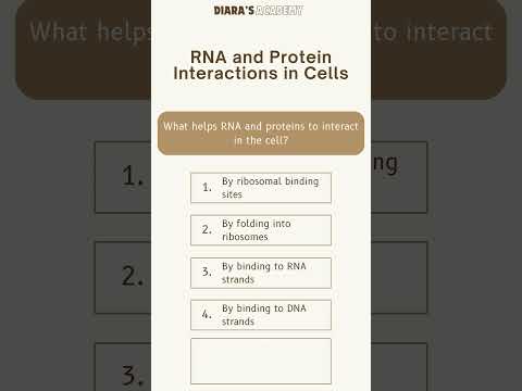 Biology MCQ: What helps RNA and proteins to interact in the cell? @Diarasacademy