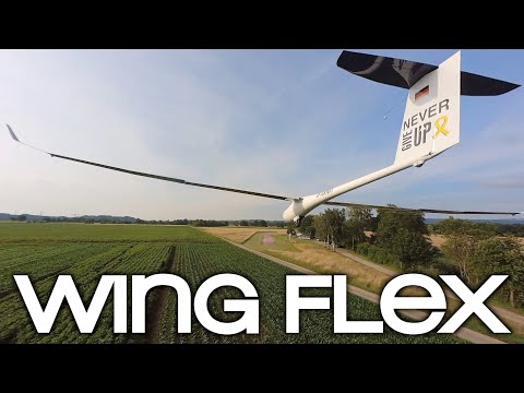 wing flex | ceflix jonker js3 rapture 1:2,75 6,55m scale sailplane