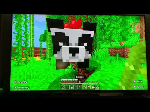 Exploring the Red Sand Biome in Minecraft
