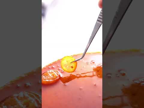 Silky Flan with Candied Kumquats