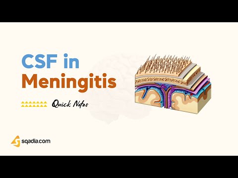 CSF in Meningitis | Introduction | Symptoms, Pathogenesis, Microbiology | Infectious Medicine