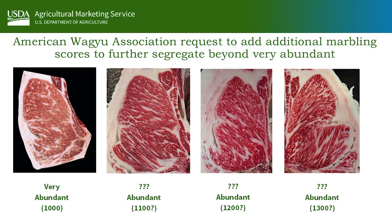 AWA AGM Beef Grading Presentation