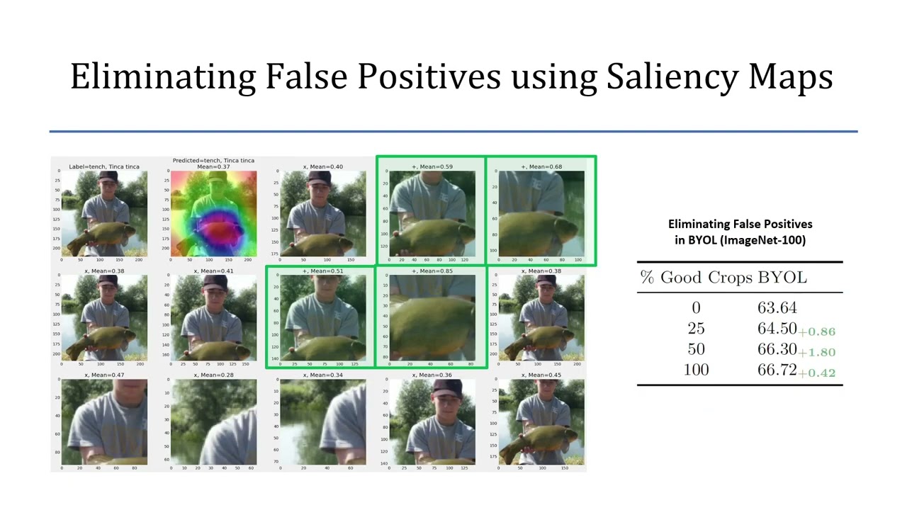 [ECCV 2022] Towards Efficient and Effective Self-Supervised Learning of Visual Representations