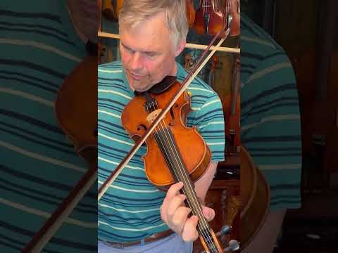 Fiddler’s Dream 5-String by Martin Sheridan Violin Fiddle | Reverb UK