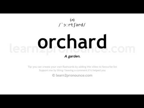 Pronunciation of Orchard | Definition of Orchard