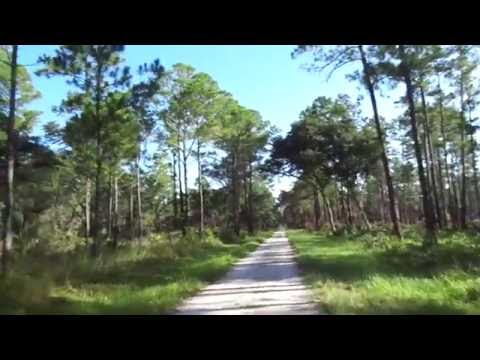 Tosohatchee Wildlife Management Area