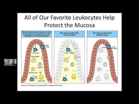 Immunology Microbiome & Mucosal Immunity. Milton Greenberg, Ph.D.